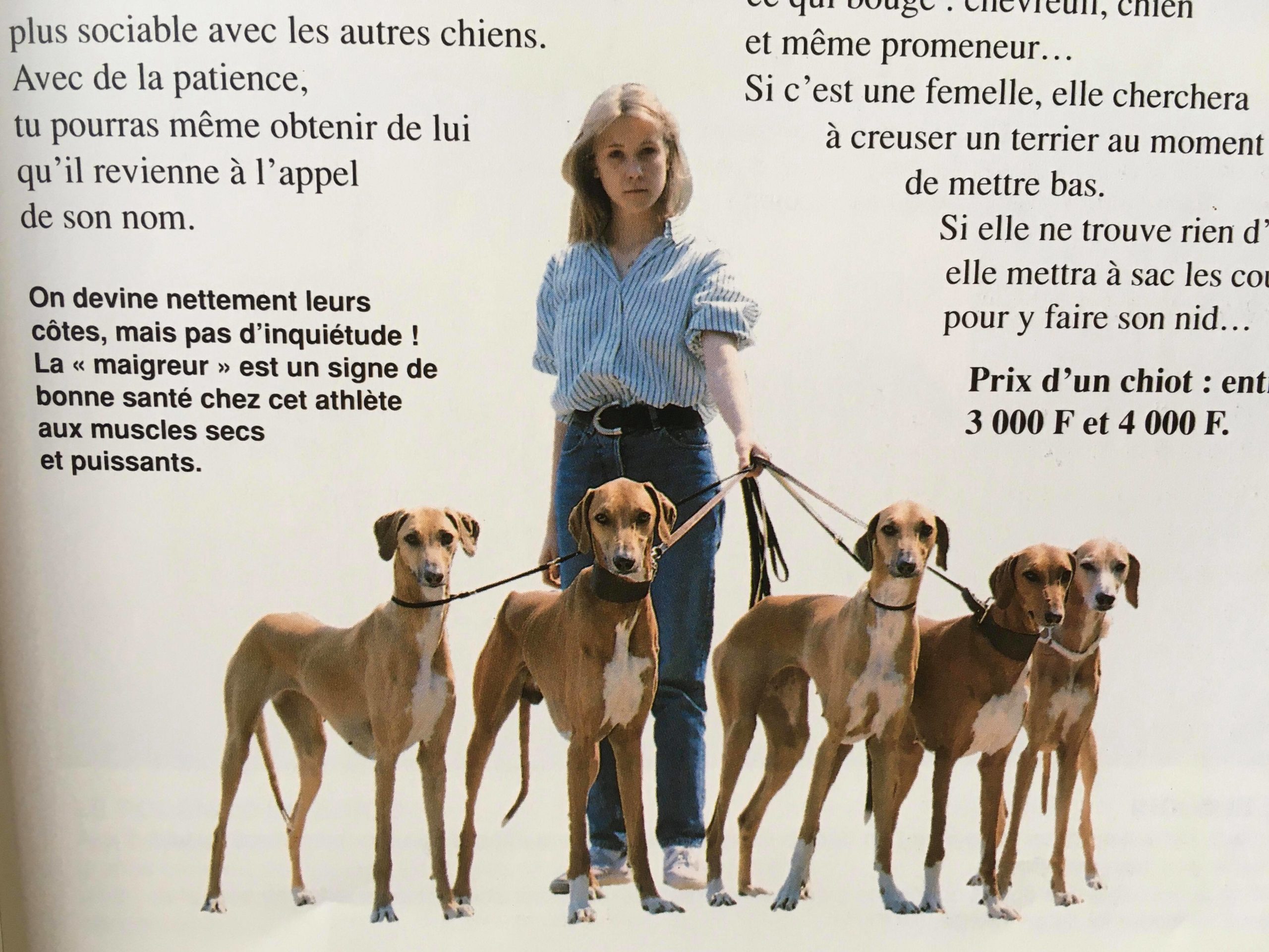 Le pitch | MyOwnDocumenta