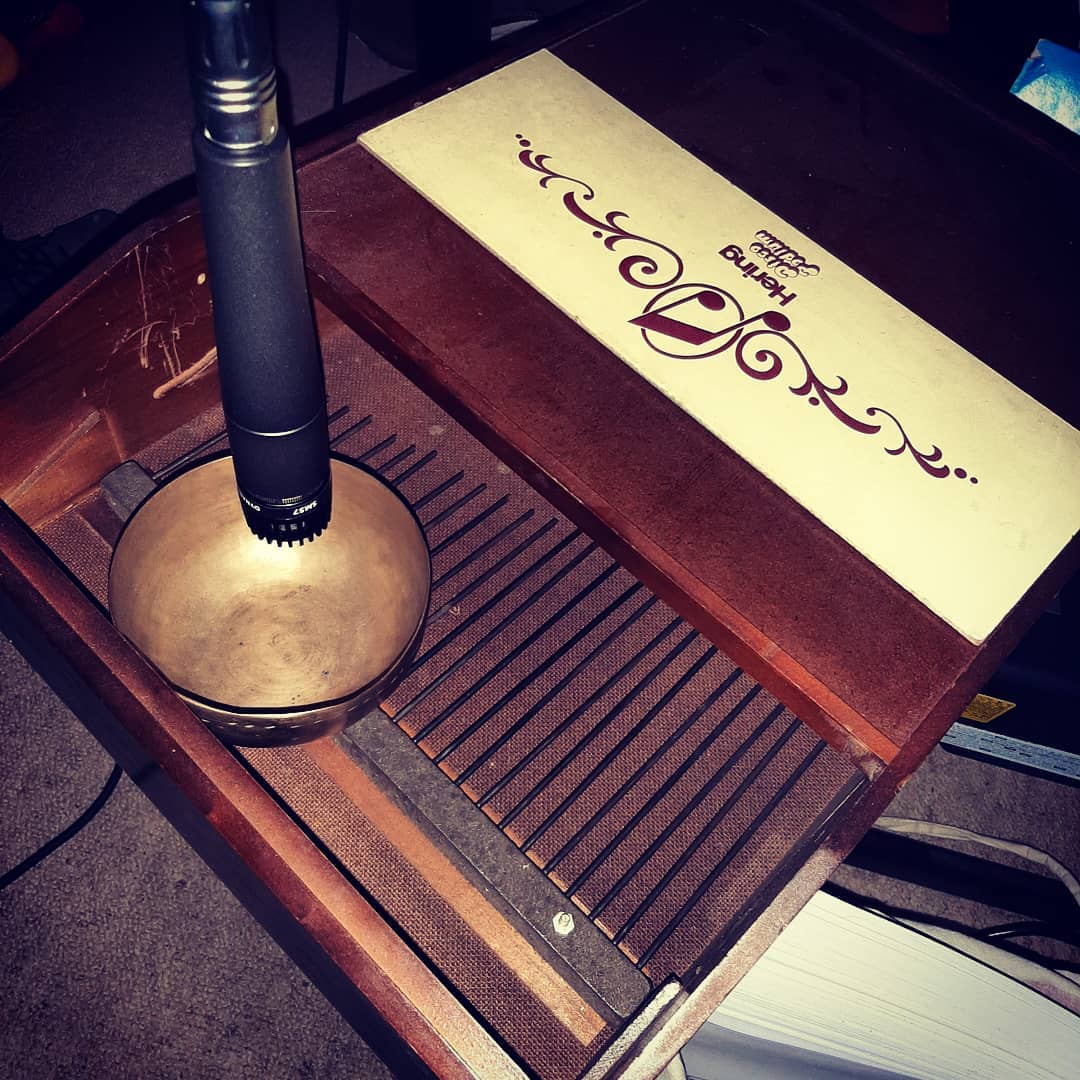 Human Koala | MyOwnDocumenta