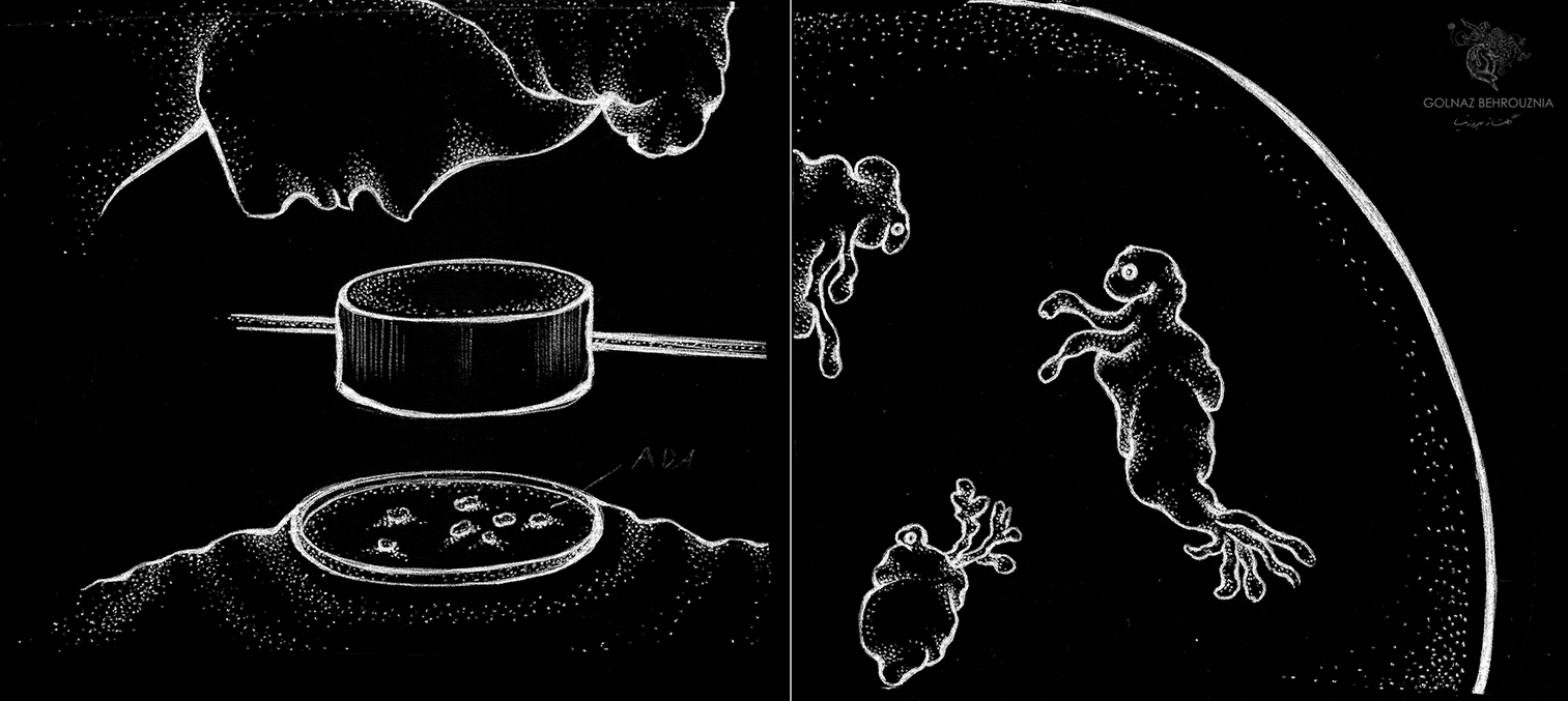 Emerging roots – III | MyOwnDocumenta