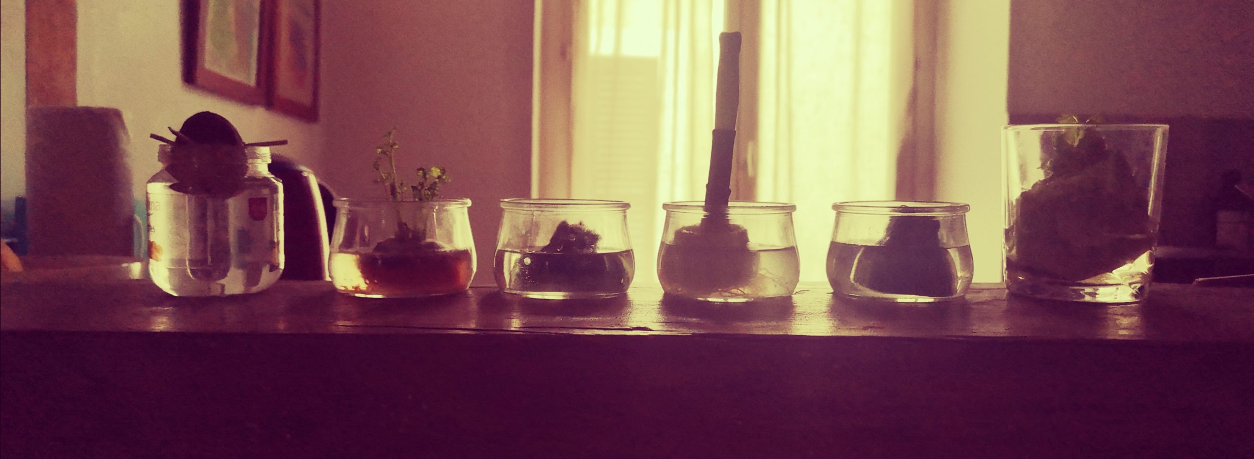 bug #1 | MyOwnDocumenta