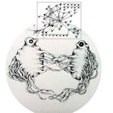 Collections Morphogénétiques #1 | MyOwnDocumenta