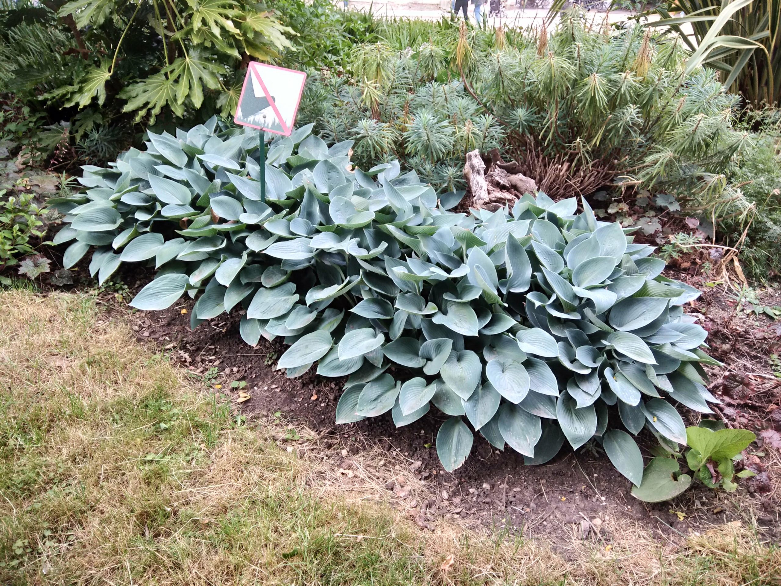 Sans-titres, 2020-21 | MyOwnDocumenta