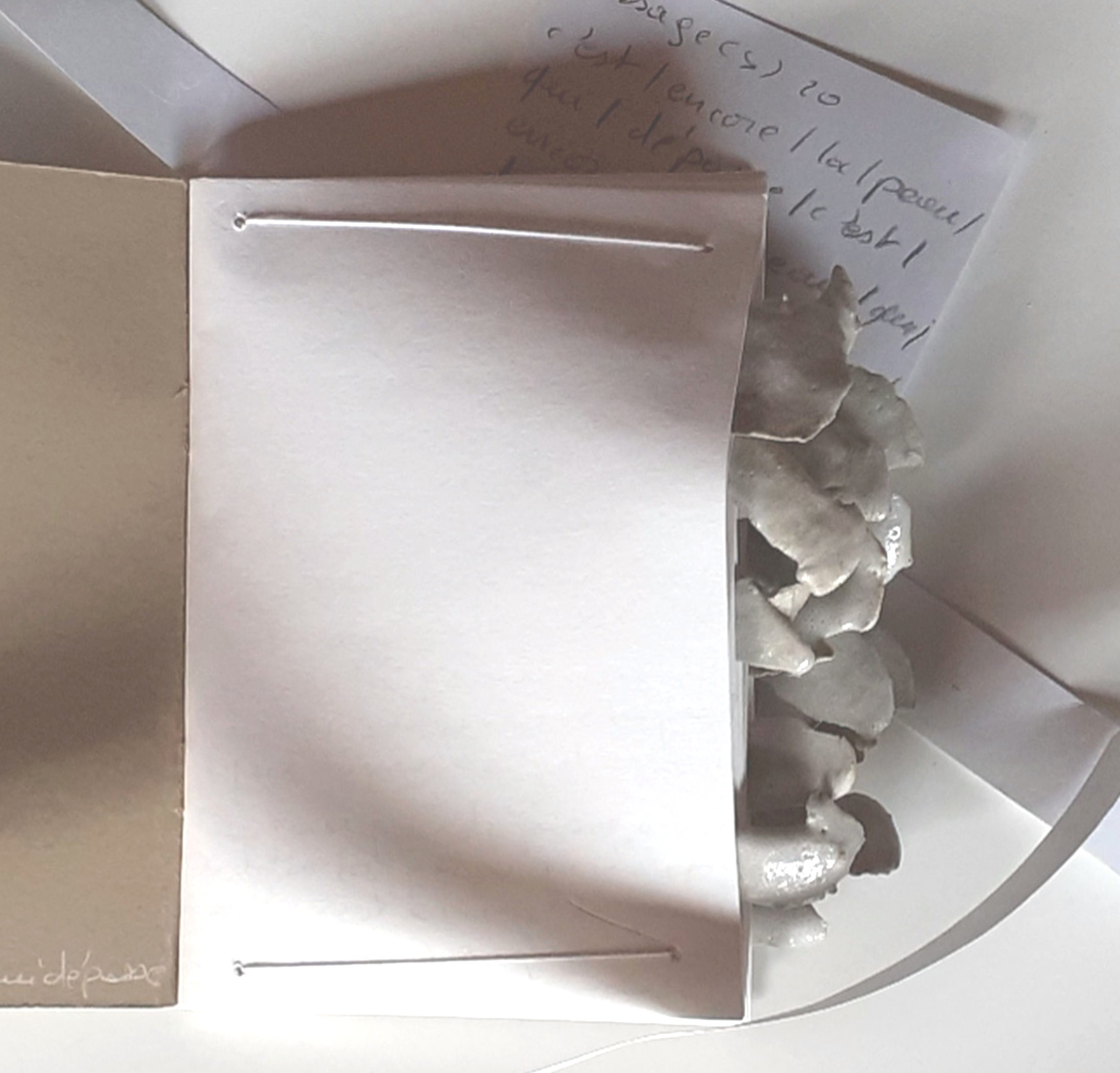 PASSAGE (S) 20 | MyOwnDocumenta