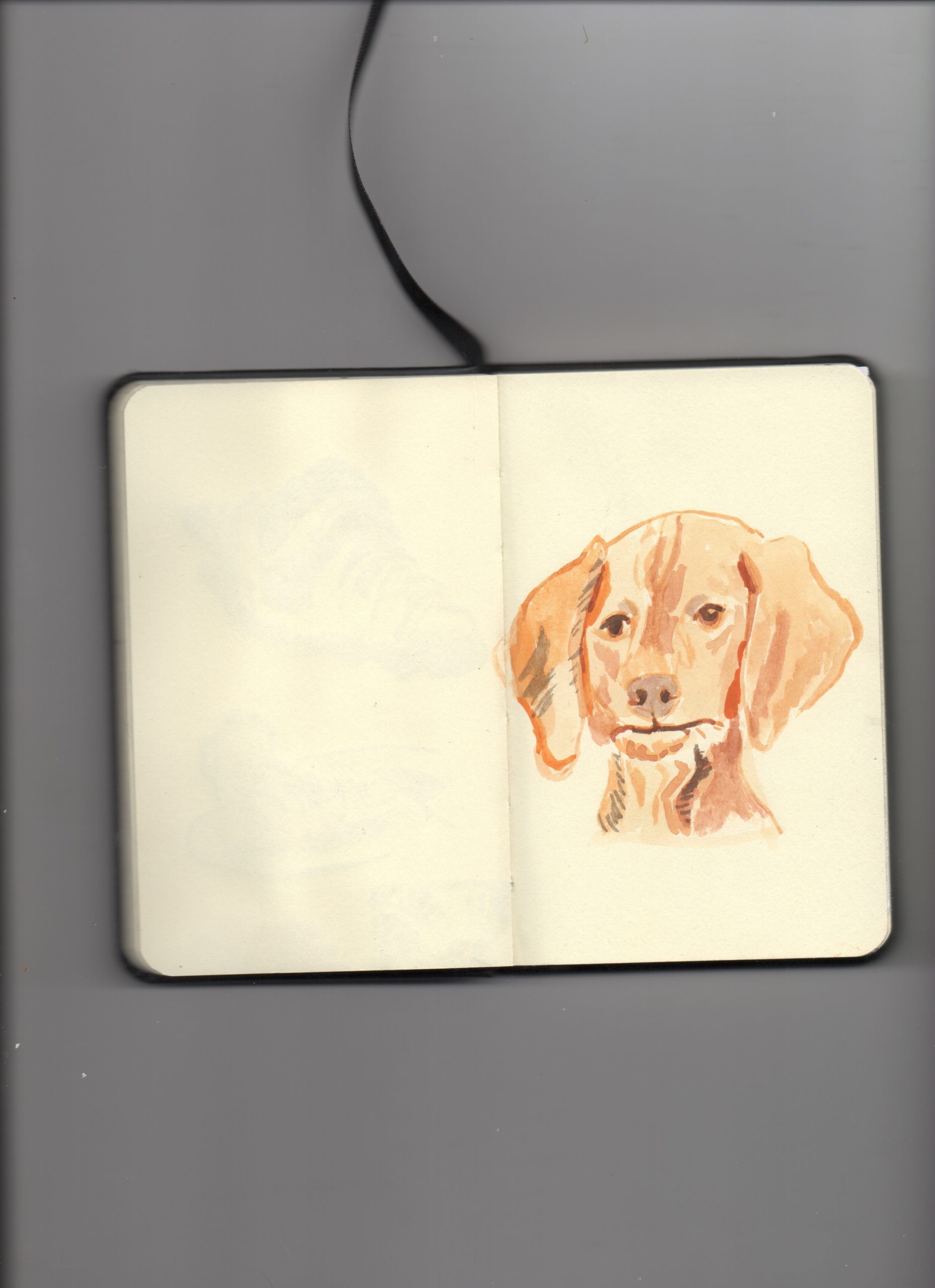 Caramel #2 | MyOwnDocumenta