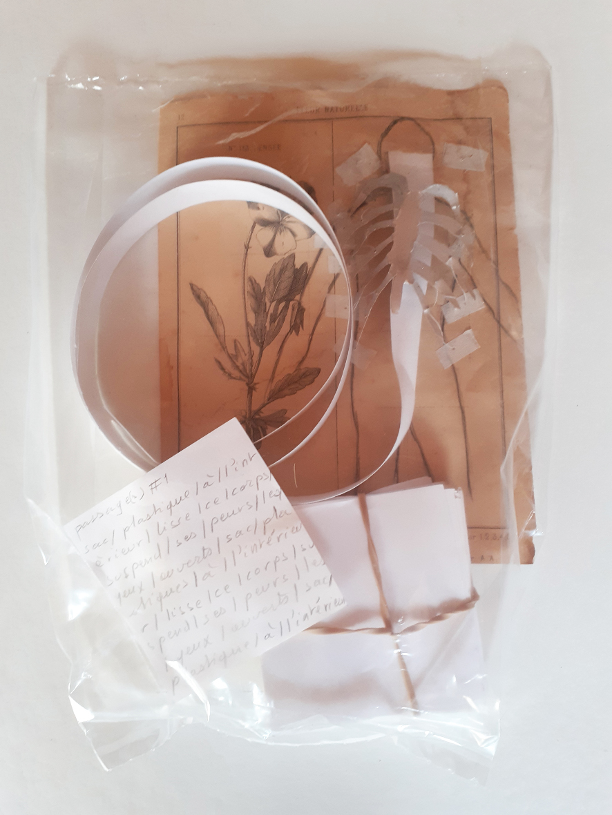 Passage(s) II | MyOwnDocumenta