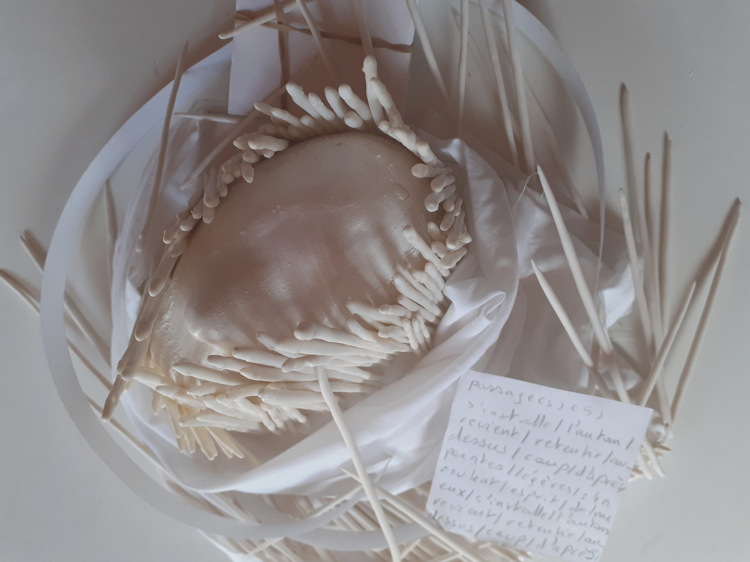 PASSAGE(S) 5 | MyOwnDocumenta