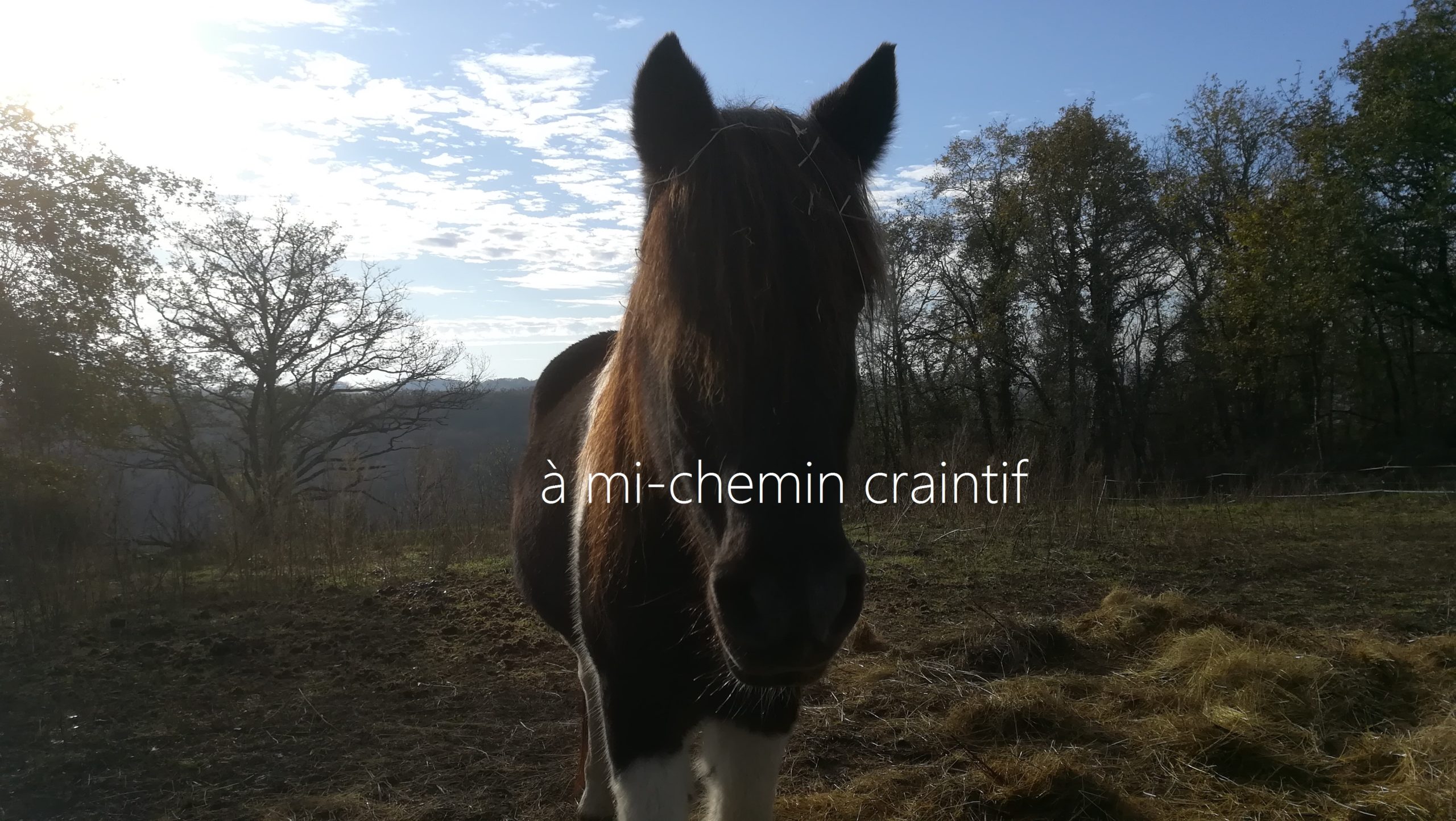 CONTRE-ATLAS | MyOwnDocumenta