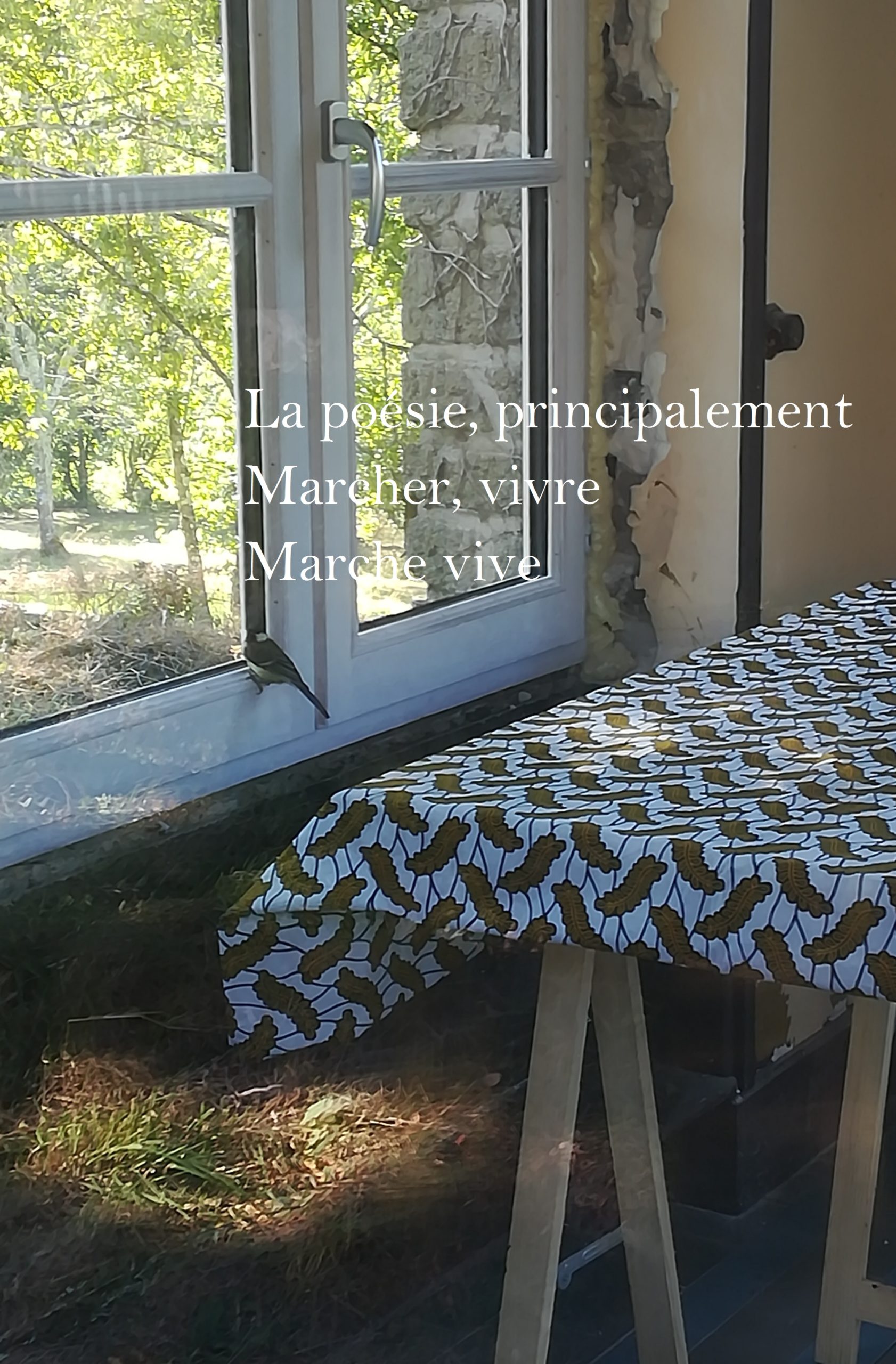 CONTRE-ATLAS | MyOwnDocumenta