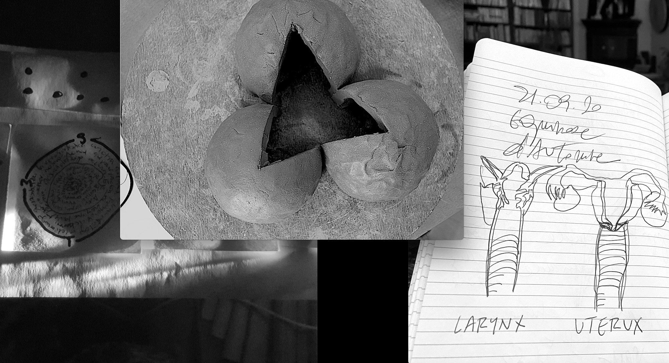 Réveiller l’invisible, billet 7 : LARYNX & UTERUX | MyOwnDocumenta