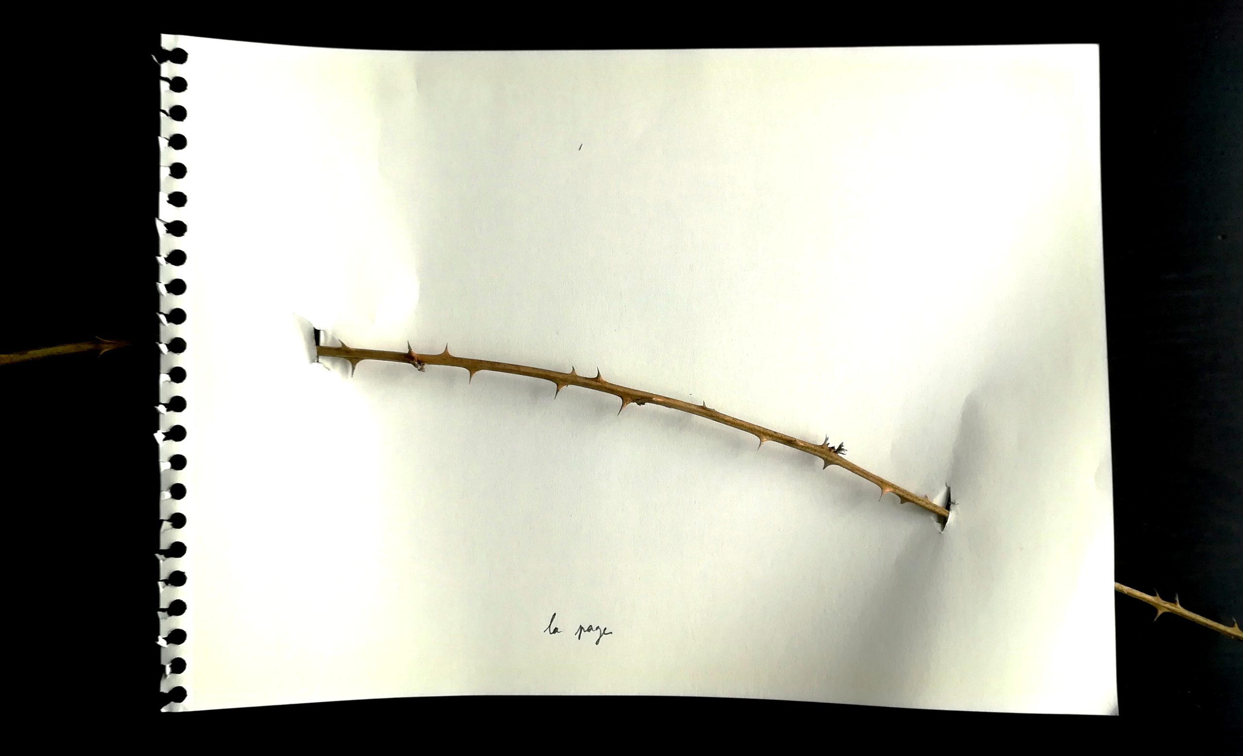 la page – la pensée – le mot | MyOwnDocumenta