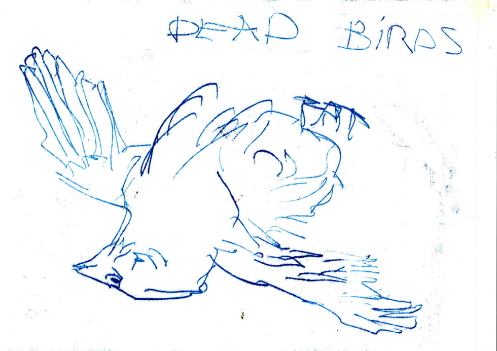 Dead birds | MyOwnDocumenta