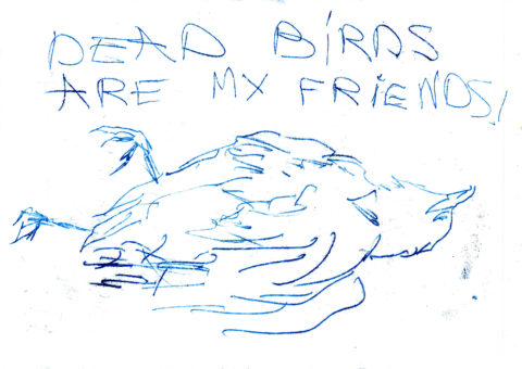 Dead birds are my friends | MyOwnDocumenta
