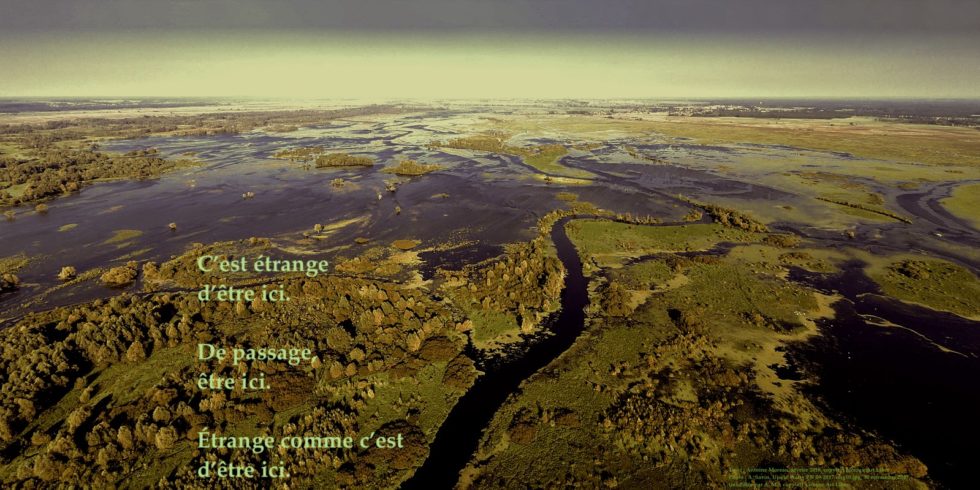 C’est étrange | MyOwnDocumenta