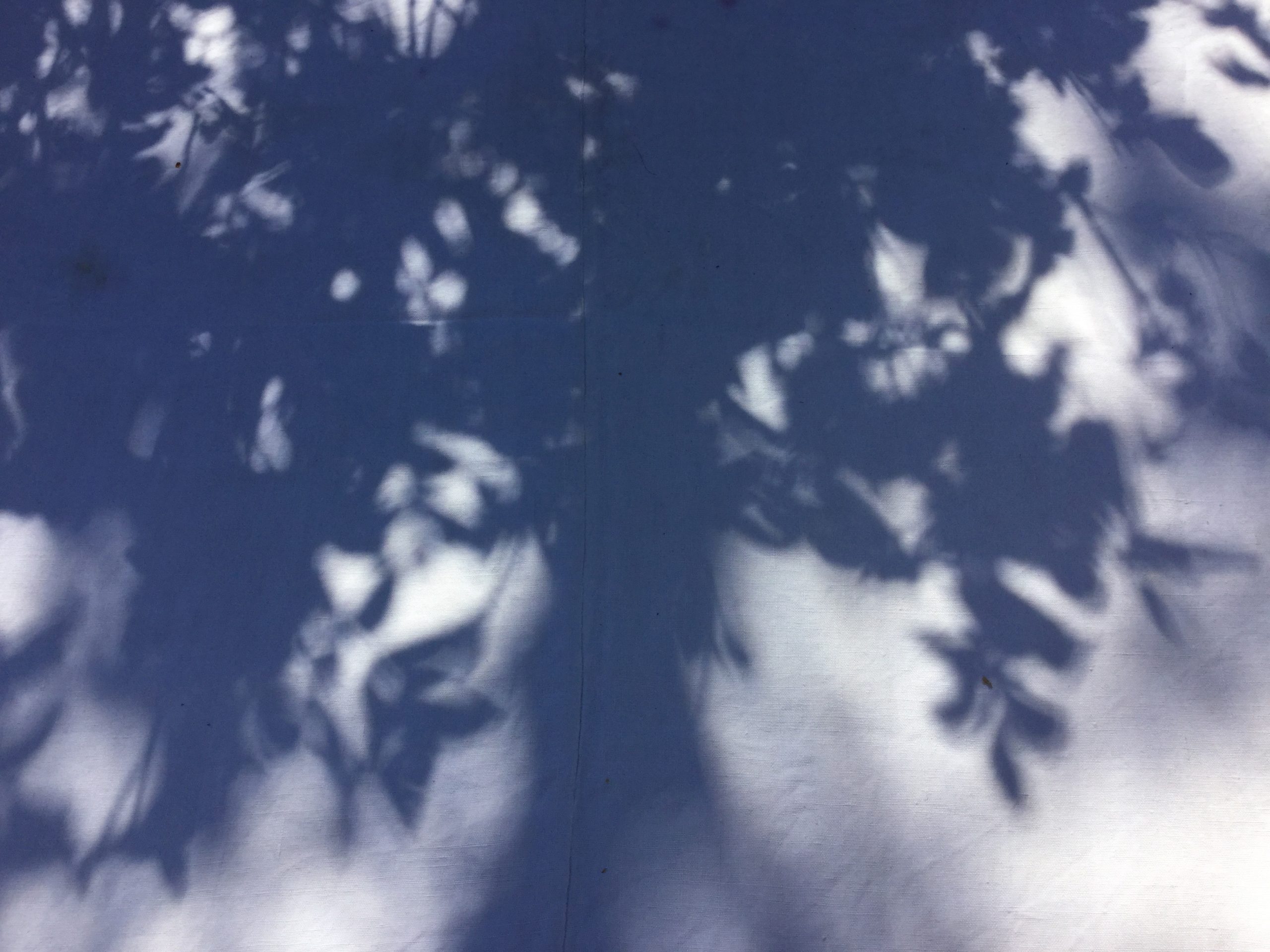 Art conceptuel | MyOwnDocumenta